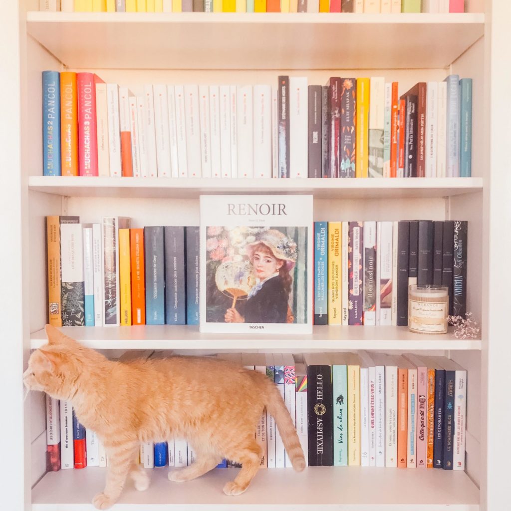 Renoir - Peter H. Feist - MademoiselleLit