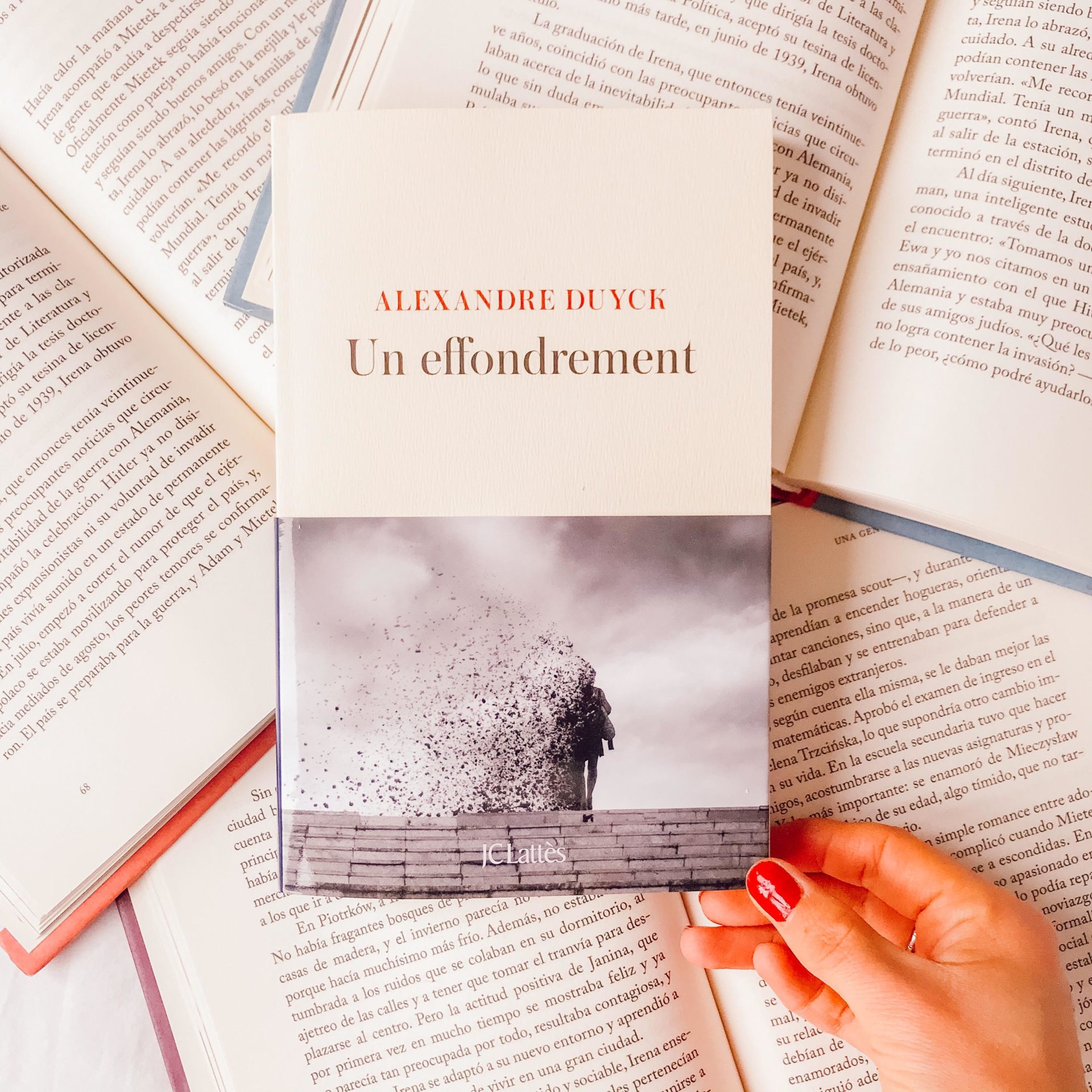 Un effondrement - Alexandre Duyck - MademoiselleLit