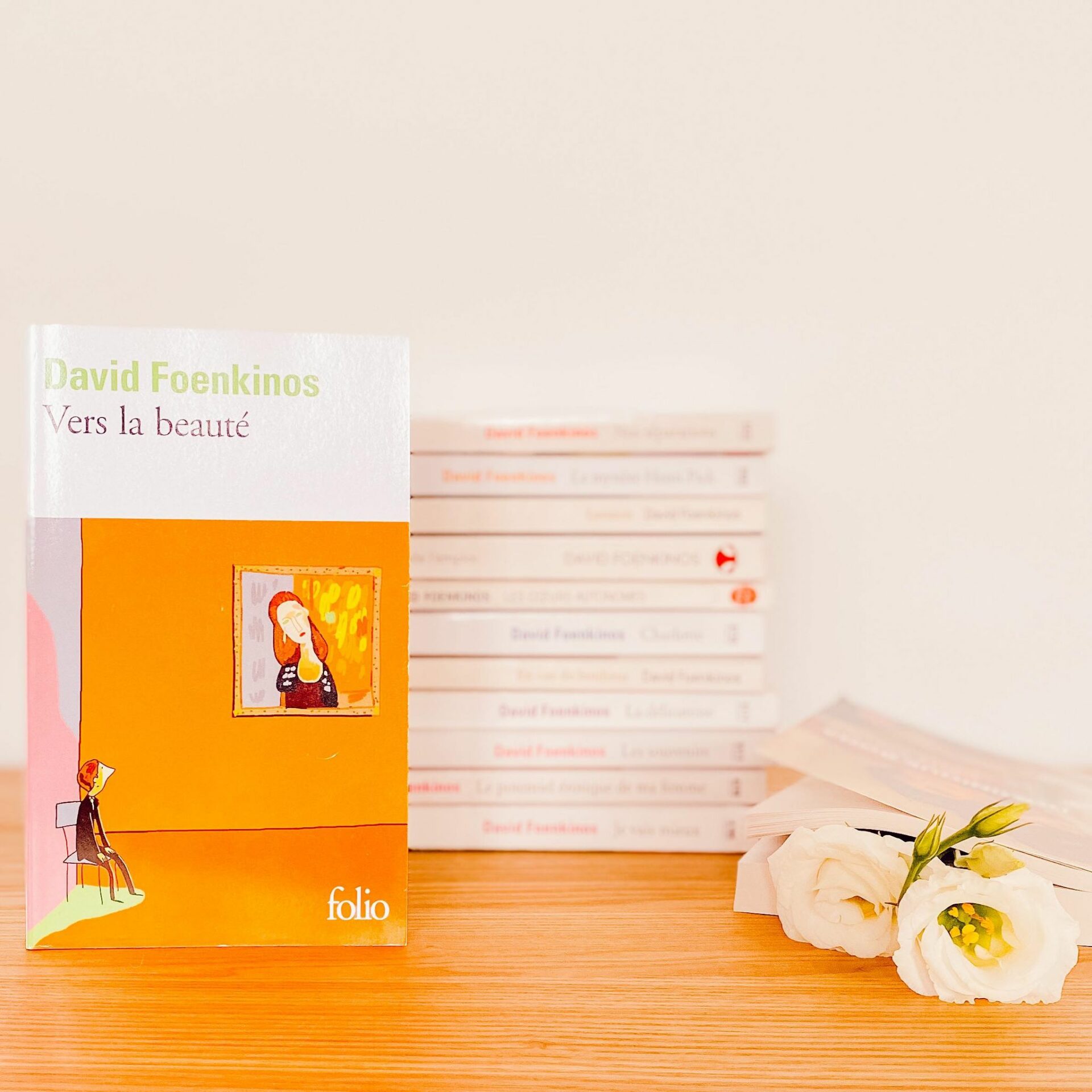 Vers la beauté, David Foenkinos : Mon avis - MademoiselleLit