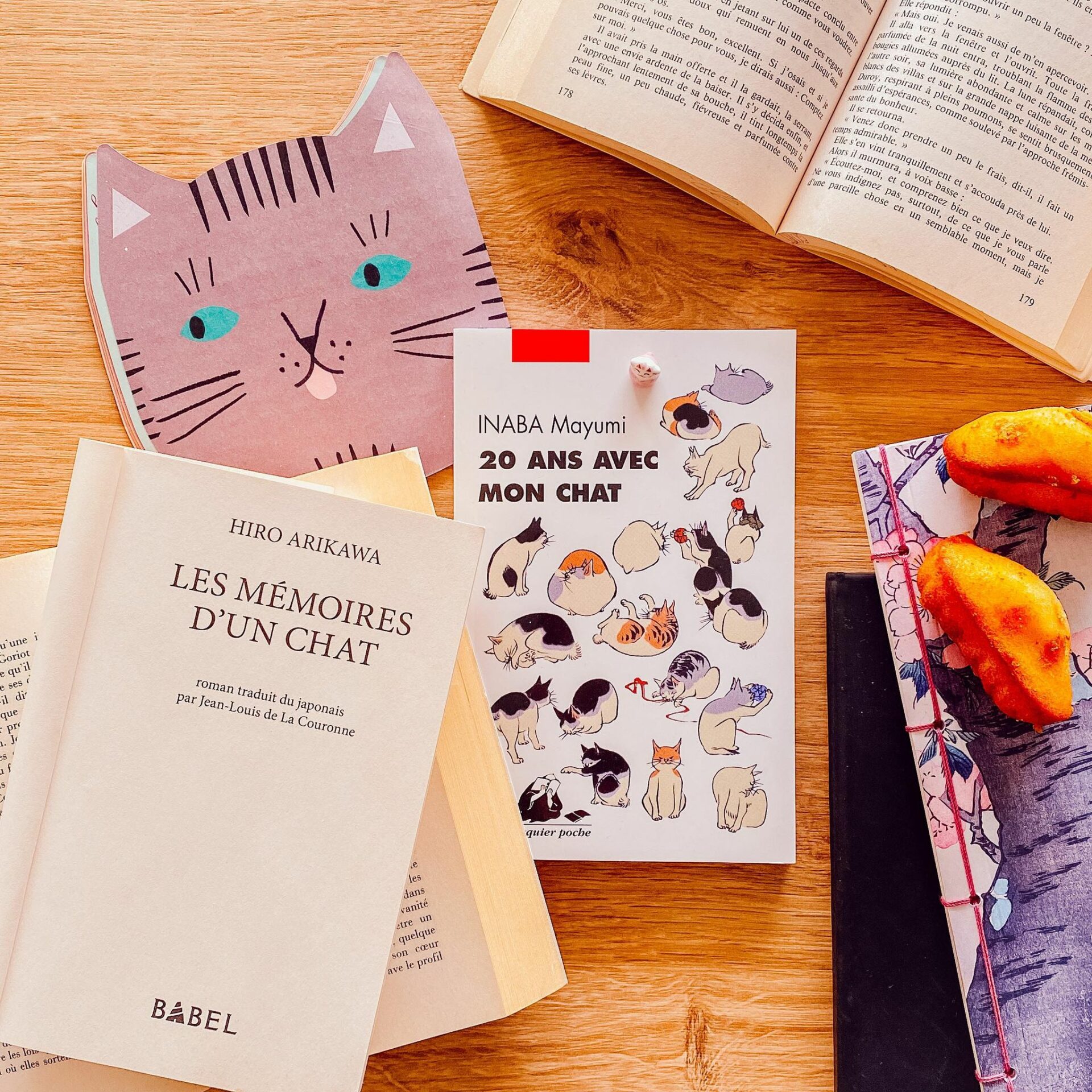 Les chats dans la littérature : 10 livres à lire ! - MademoiselleLit