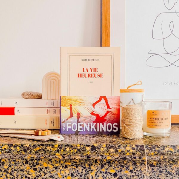 La vie heureuse, David Foenkinos : Mon avis - MademoiselleLit
