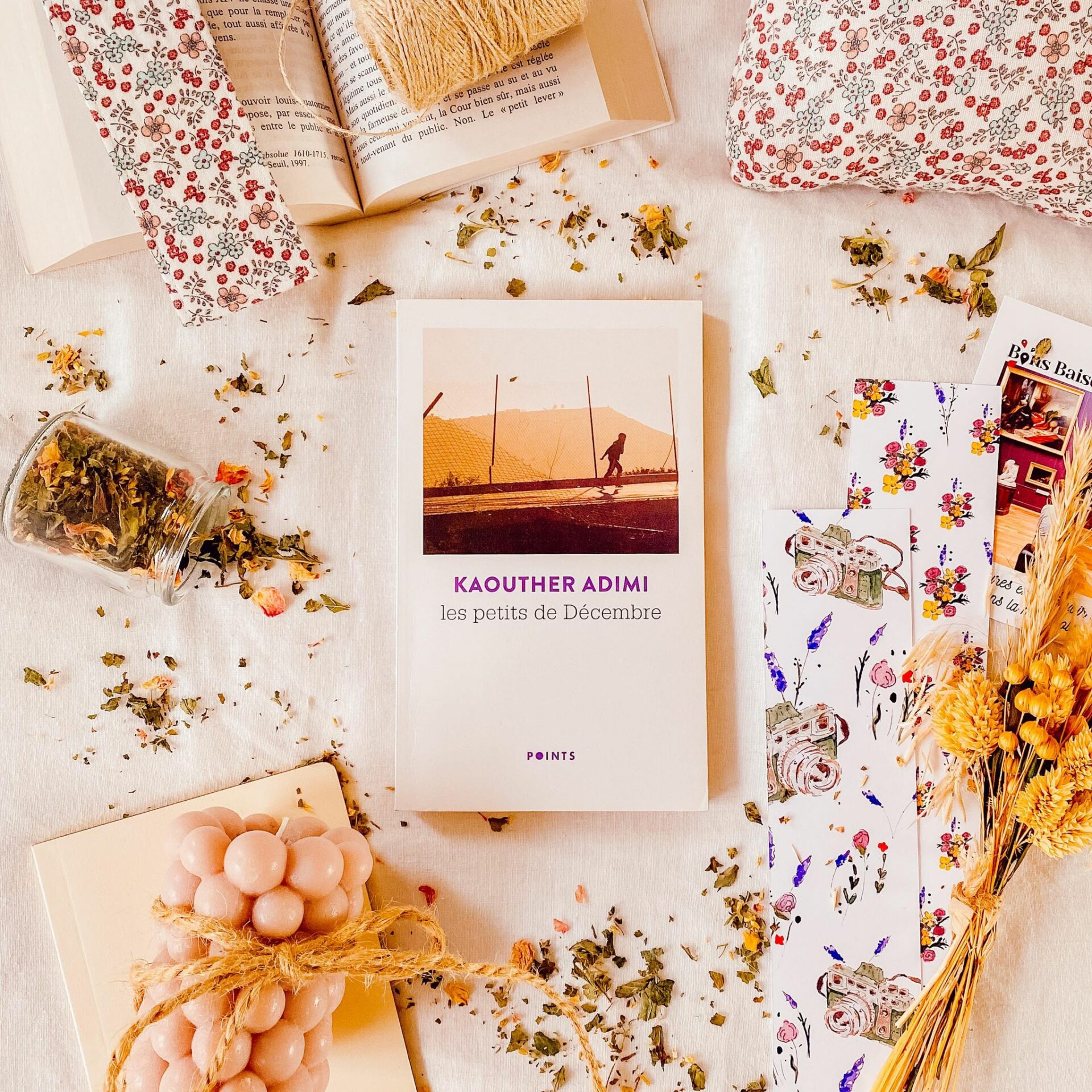 Les petits de Décembre, Kaouther Adimi : Mon avis - MademoiselleLit